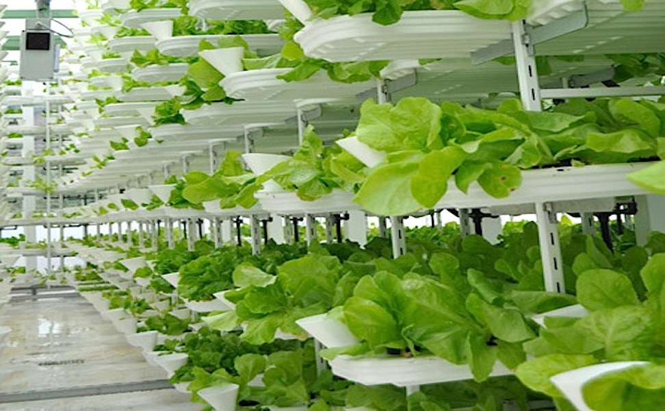 Plant Genetic Resources Center Construction Project - METenders